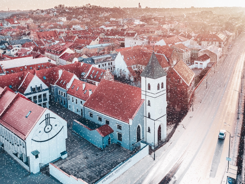 VU Kaunas Faculty - Vilnius university